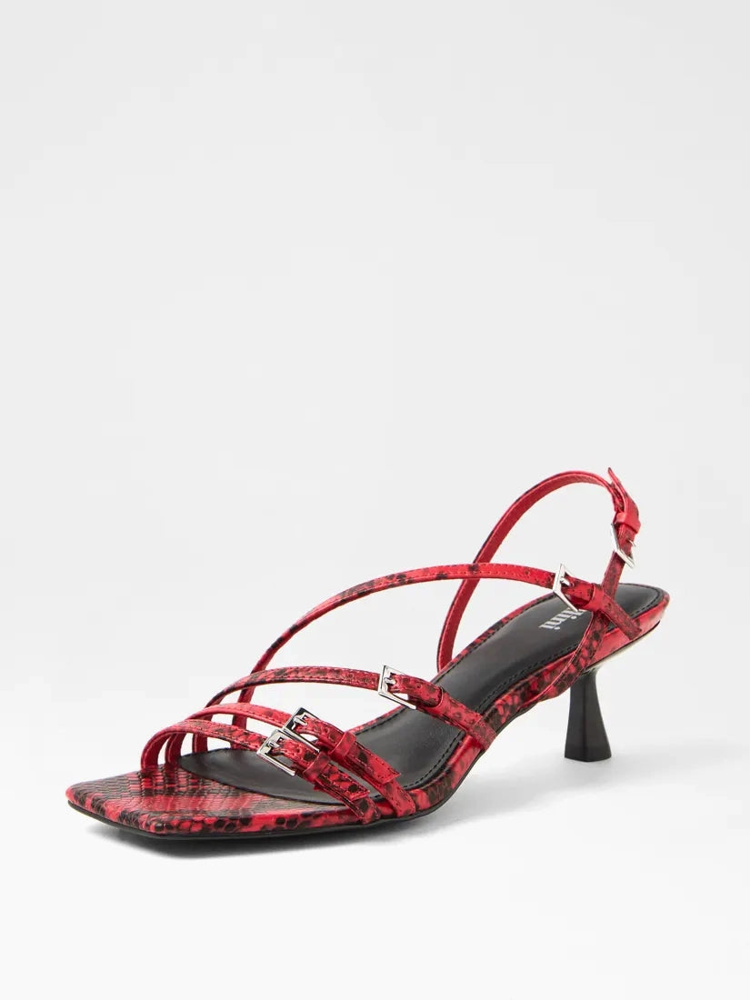 Mollini - Tandom – Boutique Piosa